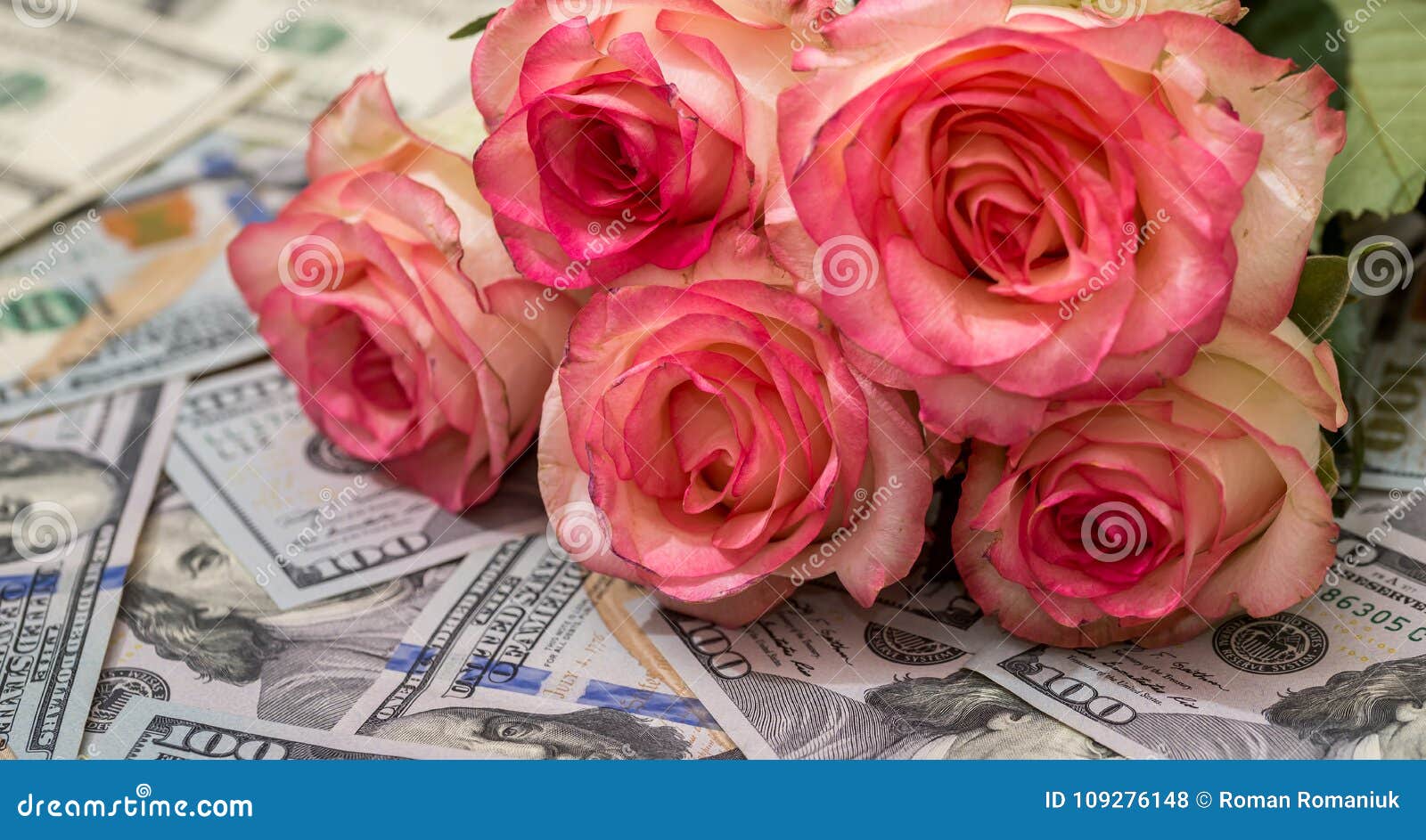 Beautiful rose and money stock photo. Image of pink - 109276148