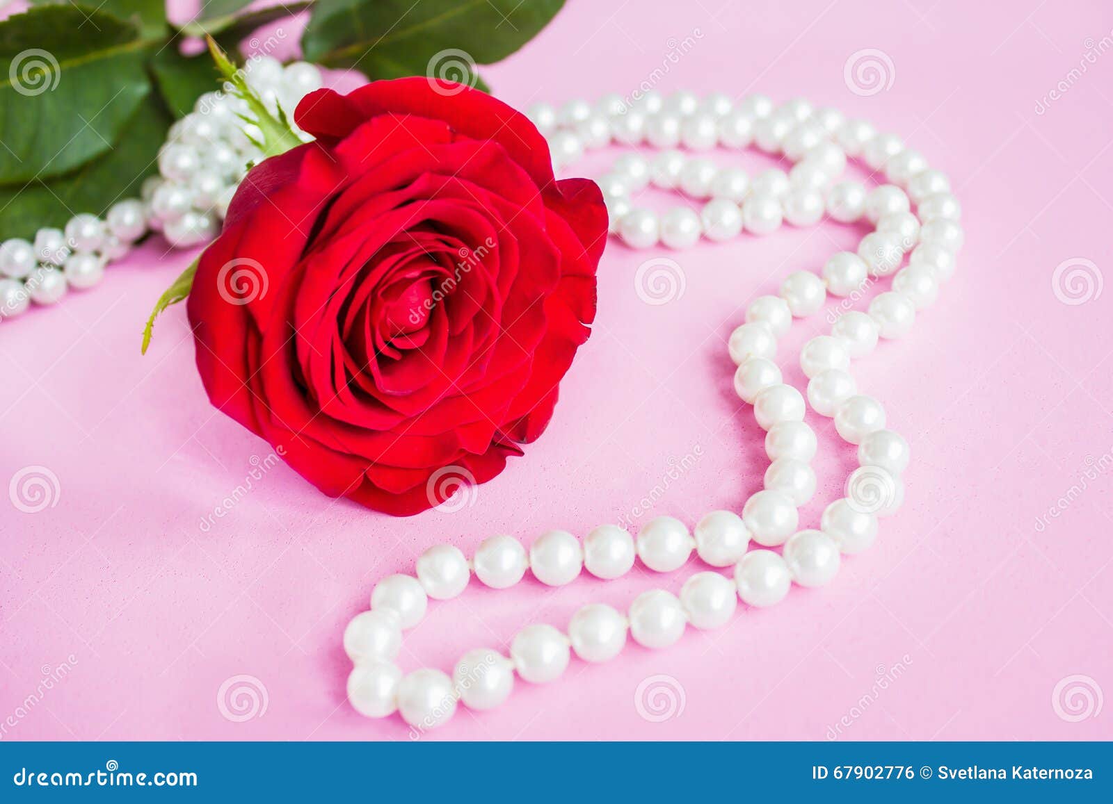 Beautiful Red Rose With Pearl Stock Photo - Image of gift, ornament ...