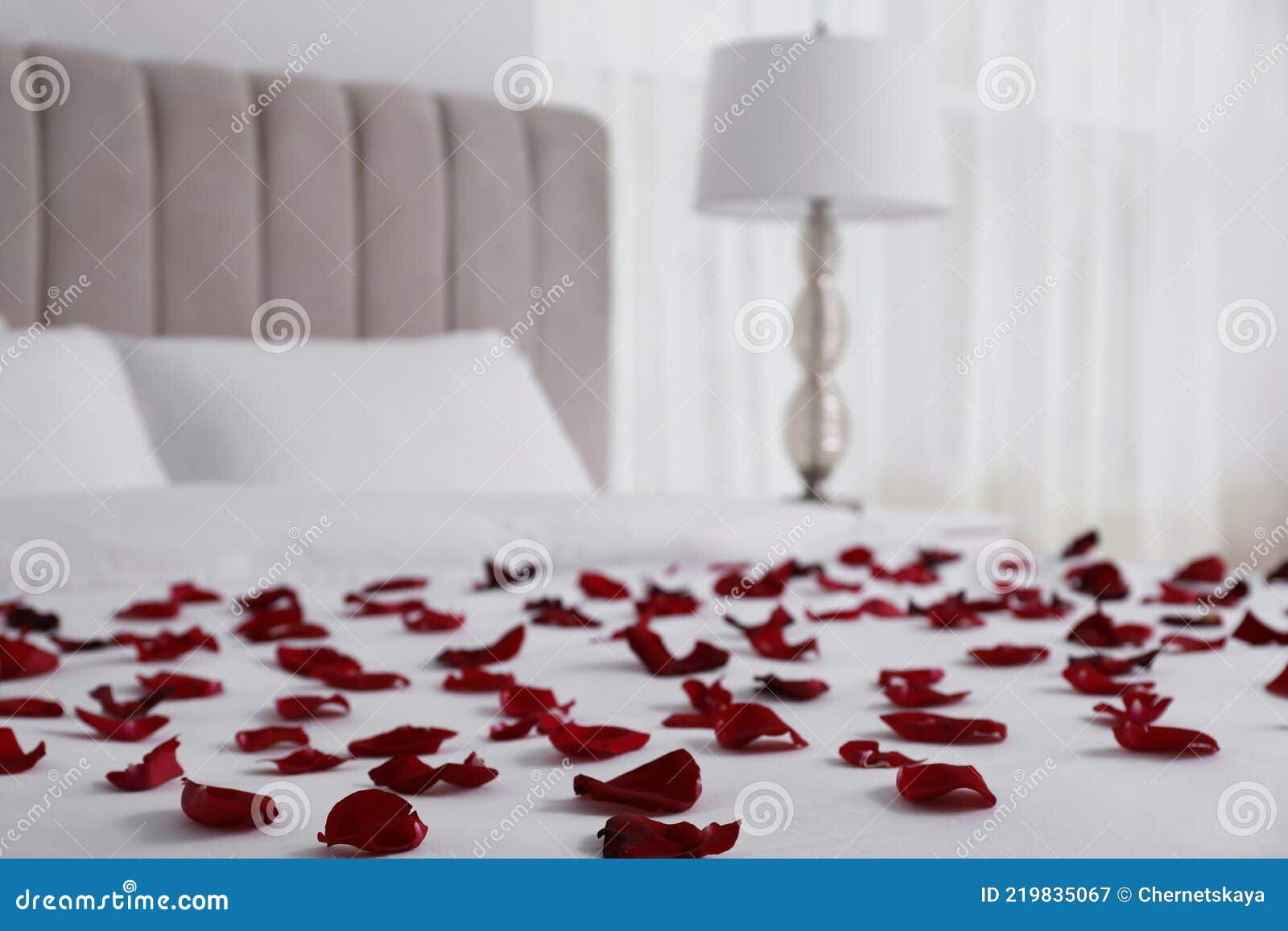 Beautiful Red Rose Petals on Bed in Room Stock Image - Image of ...