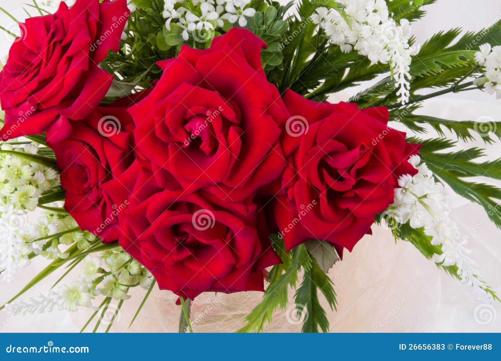 Beautiful red roses stock image. Image of beauty, relationship - 26656383