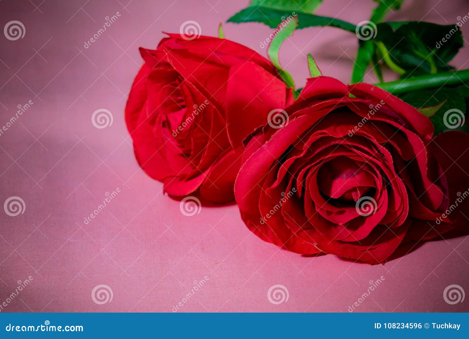 Beautiful Red Roses, Art stock photo. Image of gift - 108234596