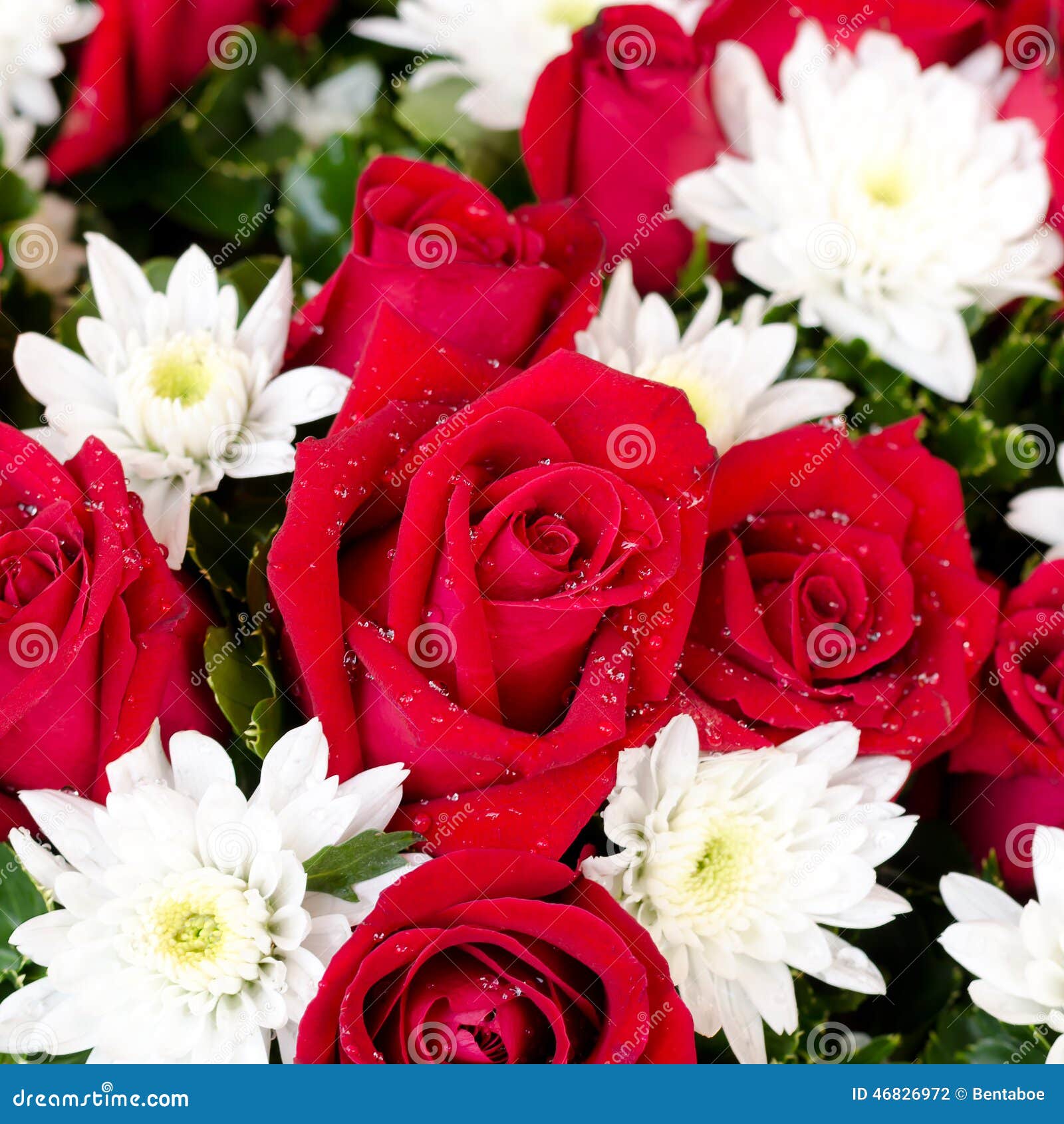 Beautiful Red Roses Bouquet Stock Photo - Image of dark, arrangement ...