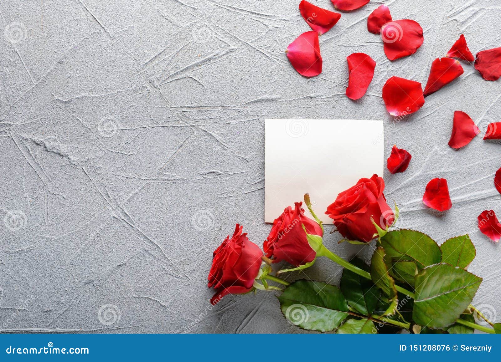 Beautiful Red Roses and Card on Grey Background Stock Photo - Image of ...