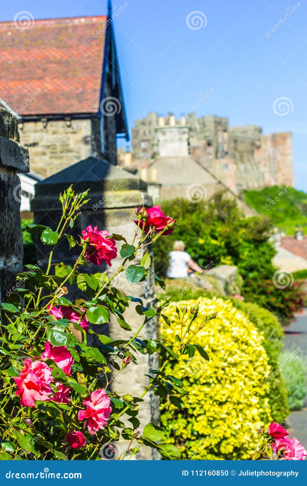 Beautiful, Red Roses Decorating Outside of the House Stock Photo ...