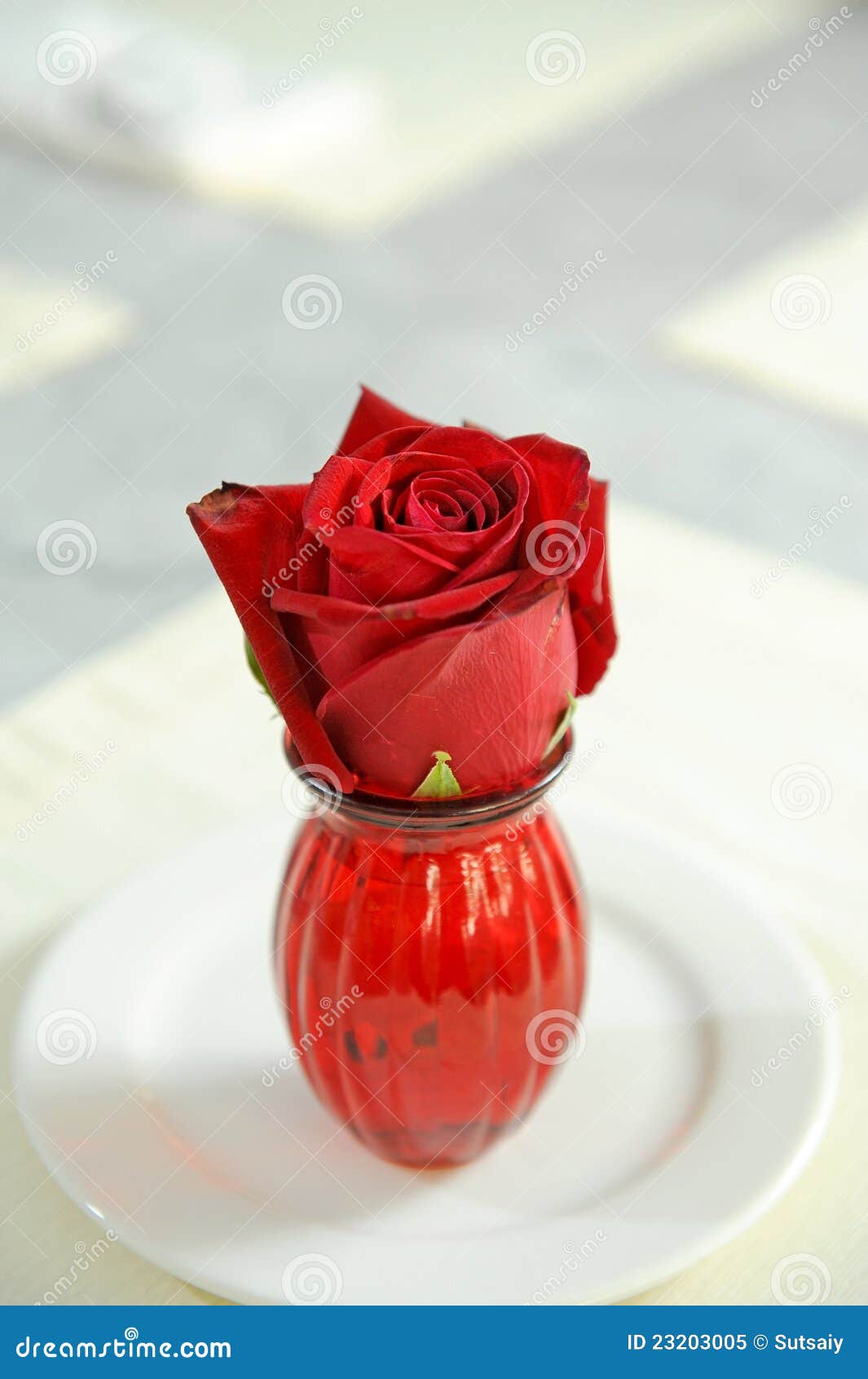 Beautiful Red Roses in Table Stock Image - Image of delight ...