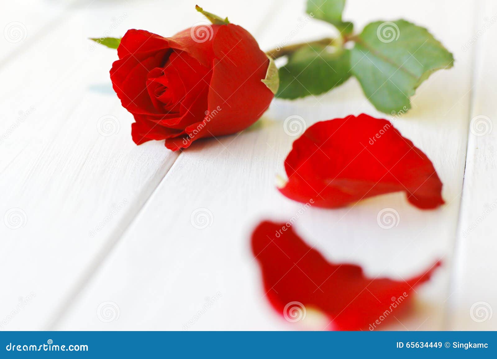 Beautiful Red Roses on Table Close-up Stock Image - Image of elegant ...