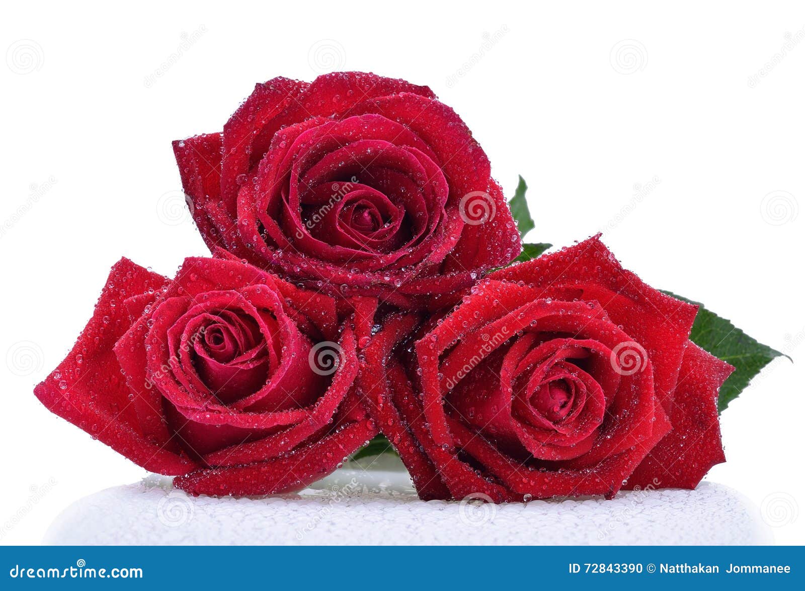 Beautiful Red Roses with Water Drop Stock Photo - Image of flowers ...