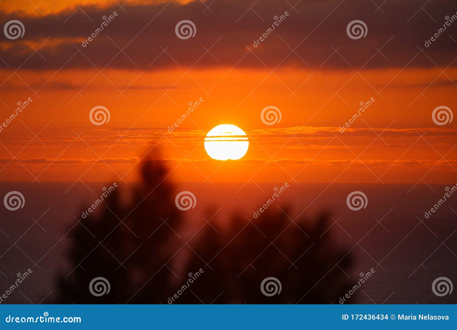 Beautiful Red Sunset Over the Ocean through the Trees Stock Photo ...