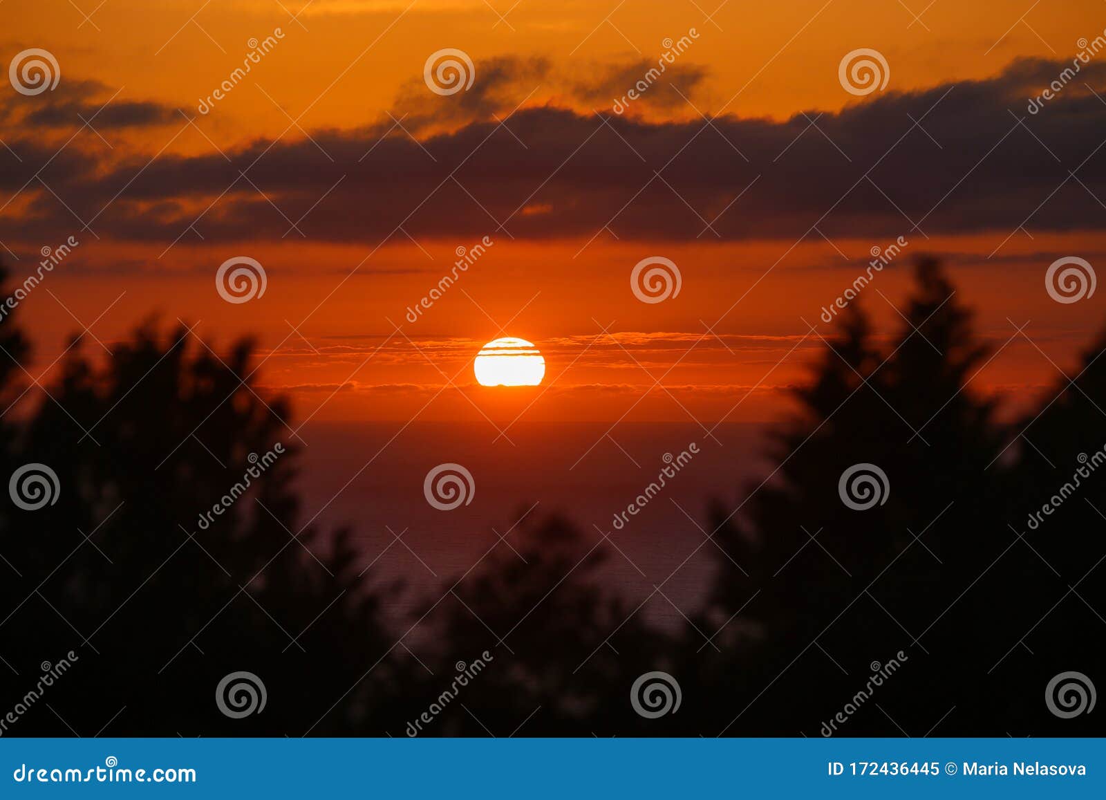 Beautiful Red Sunset Over the Ocean through the Trees Stock Image ...