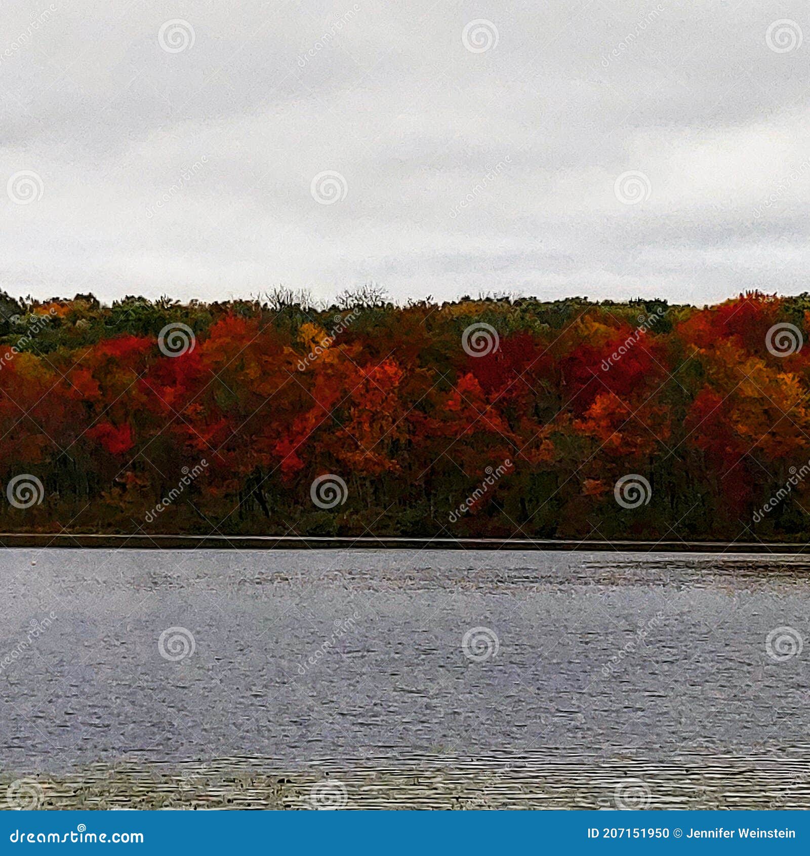 Beautiful Red Trees Near the Lake Stock Photo - Image of painting ...
