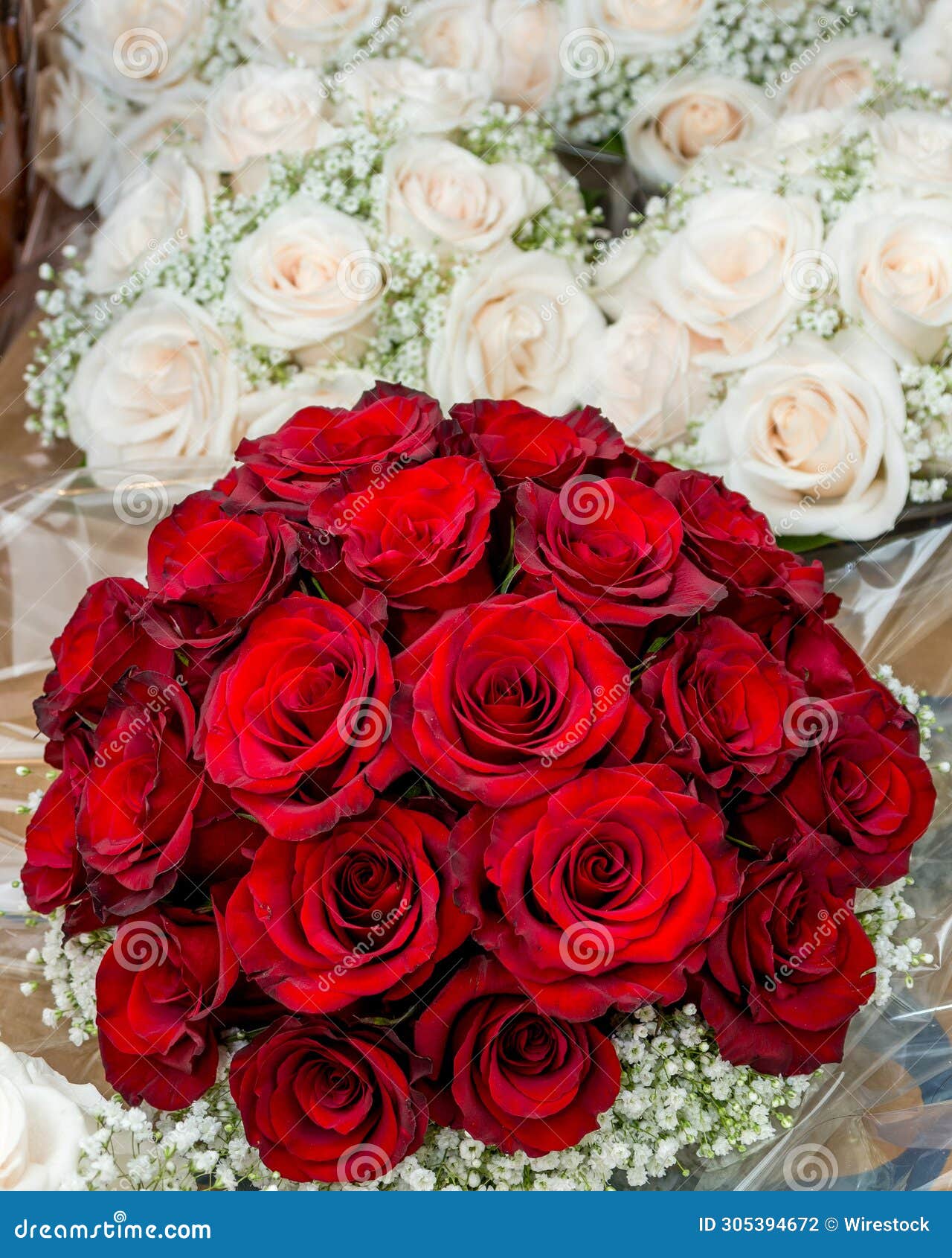 Beautiful Red and White Rose Bouquet Stock Photo - Image of arrangement ...