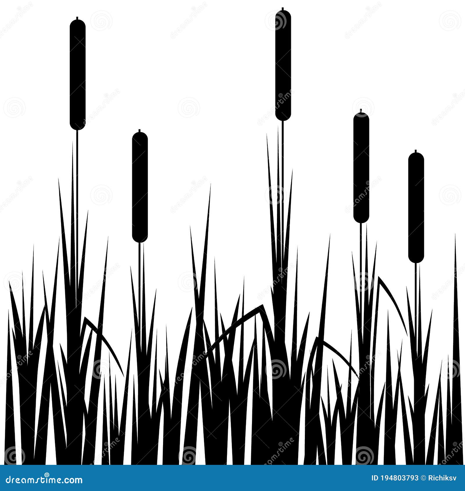 Beautiful Reed Stock Illustrations – 1,579 Beautiful Reed Stock ...