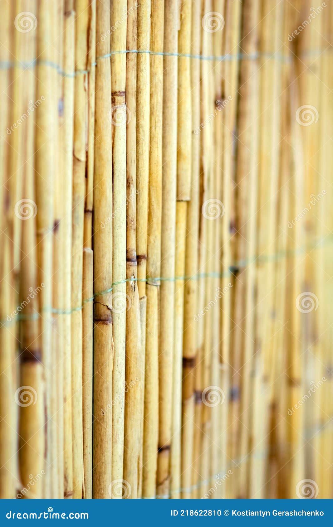 A Beautiful Reed Fence Wall on Pyrode Background Stock Photo - Image of ...