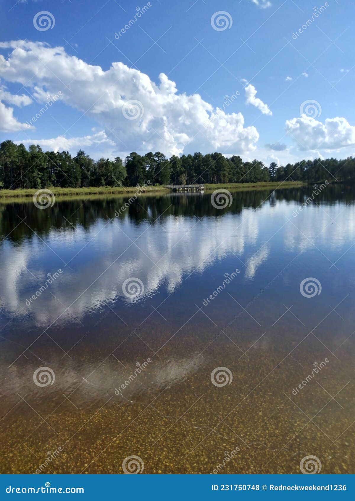 Beautiful Reflection on the Lake Stock Photo - Image of snow, wave ...
