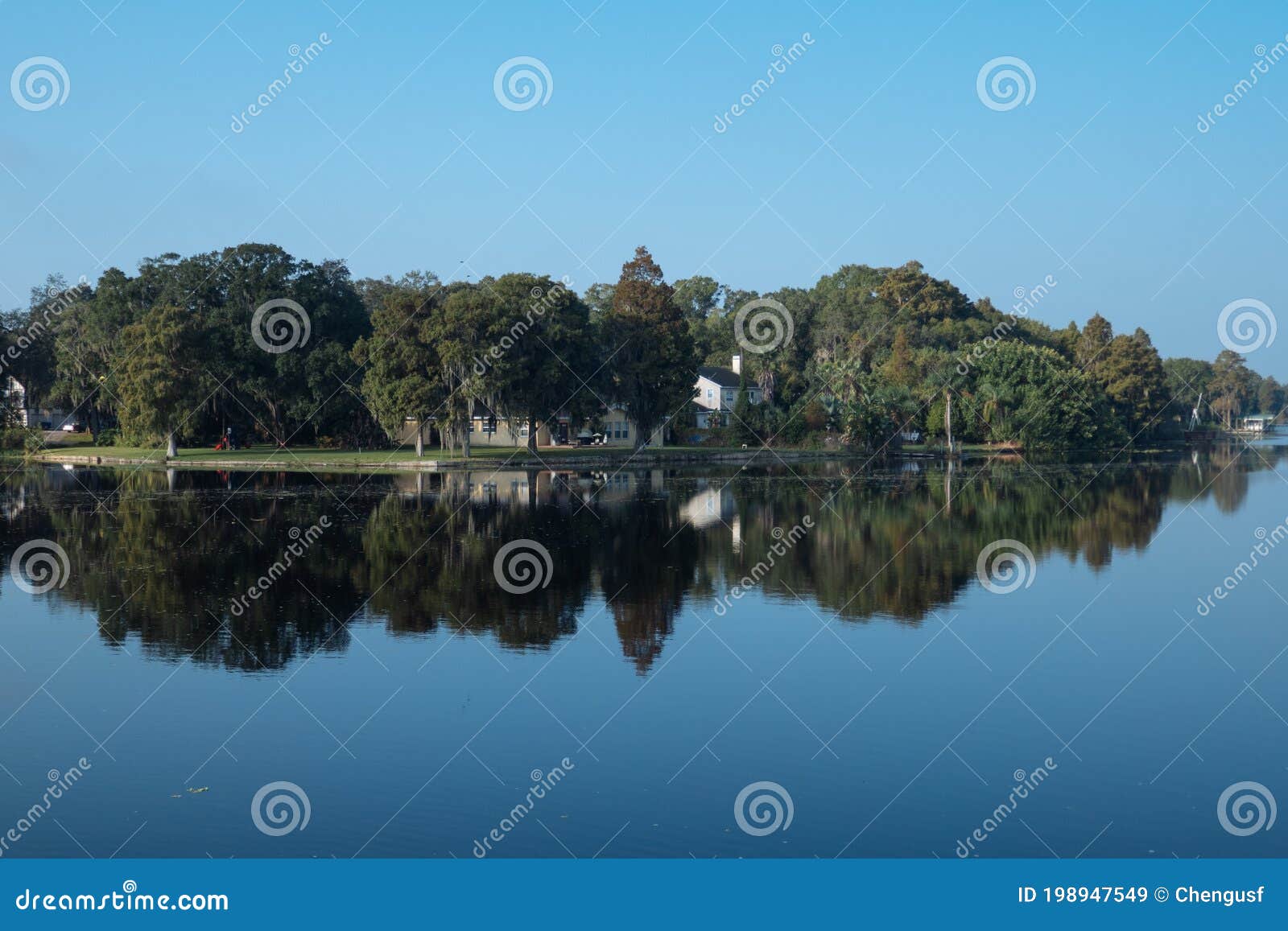 Perfect Mirror Reflection Formed by a River Stock Image - Image of ...