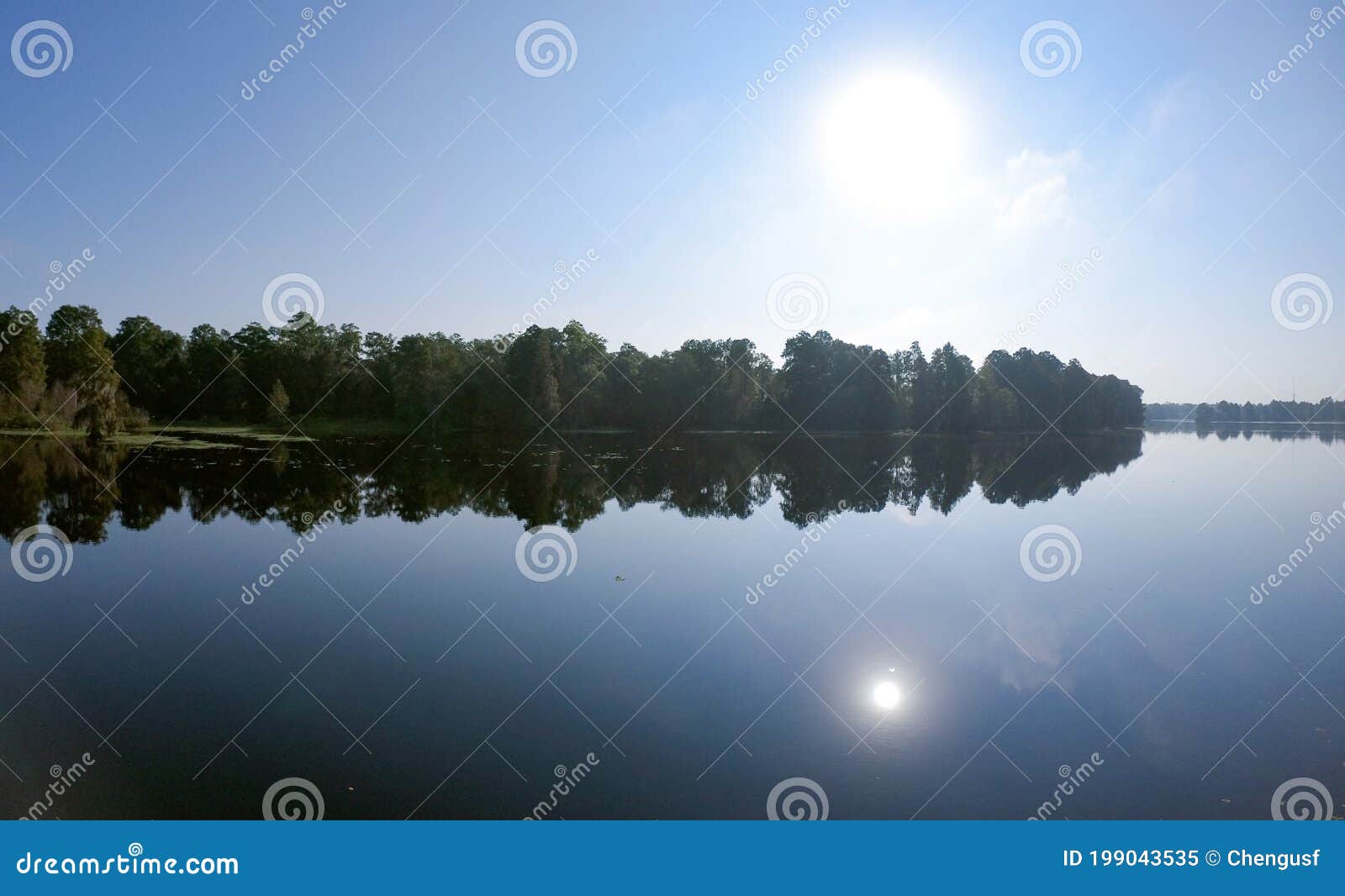 Perfect Mirror Reflection Formed by a River Stock Image - Image of ...
