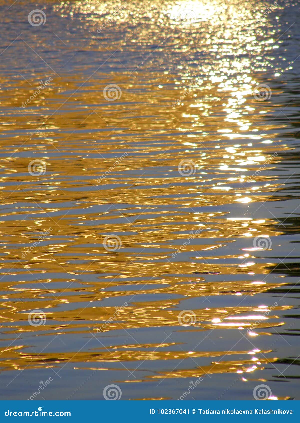 Reflection of the Sun`s Rays on the Water. Stock Image - Image of light ...