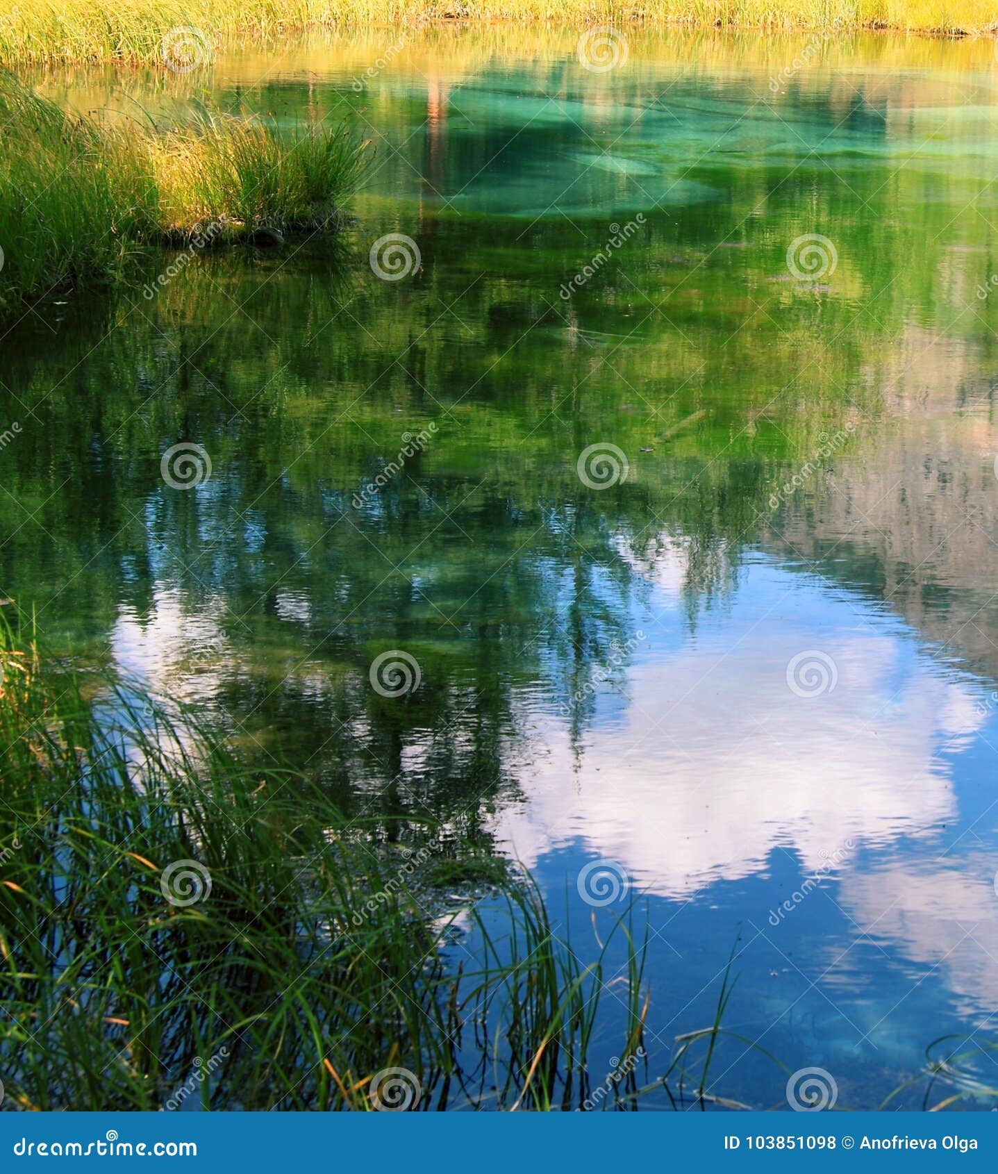 Beautiful Reflection of Trees and Clouds in a Quiet Smooth Surface of ...