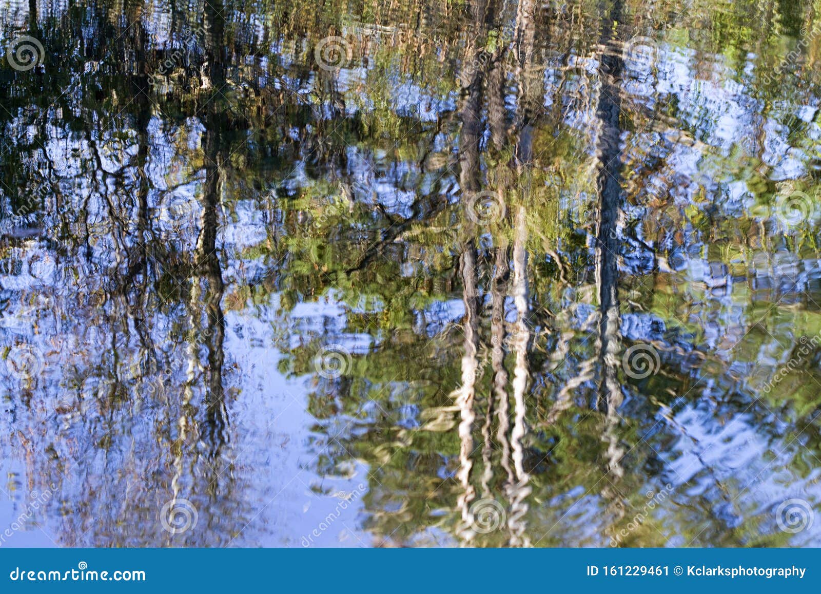 Nature Reflection of Trees in Water and Ripples Stock Image - Image of ...
