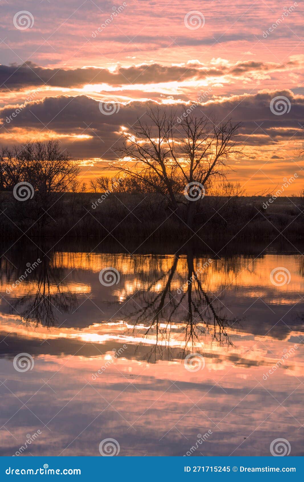 Beautiful Sunset Reflection in a Pond Stock Image - Image of sunset ...