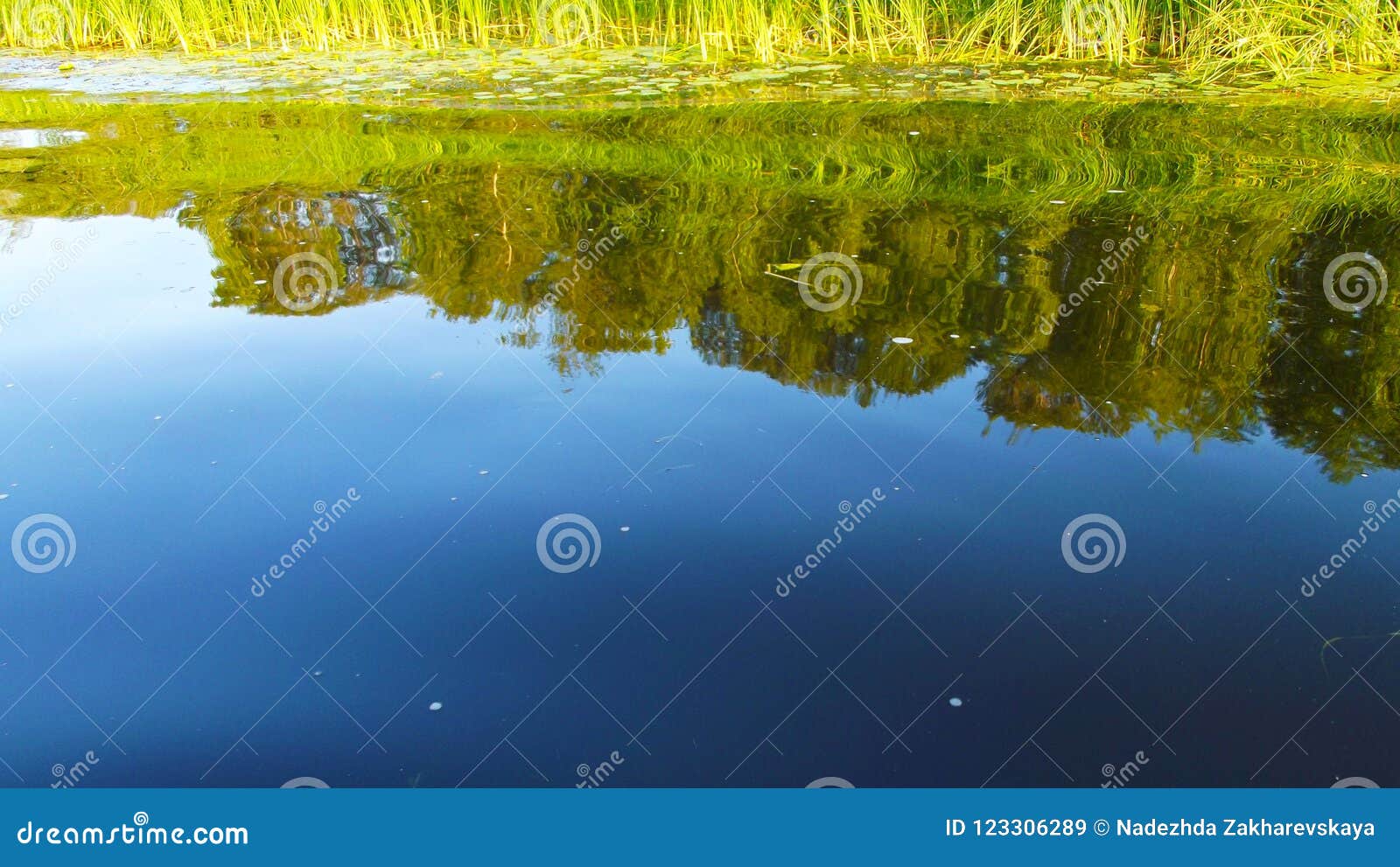 Beautiful Reflection in the Water. Stock Image - Image of reflection ...