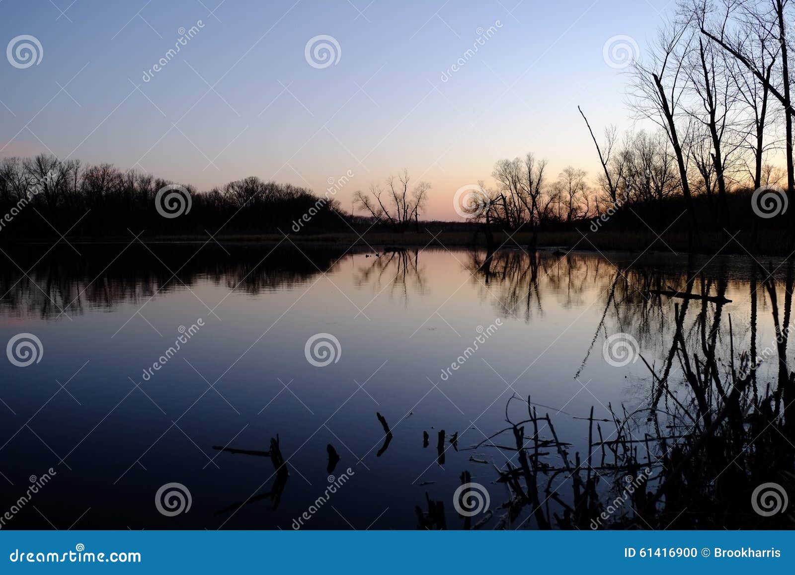 The Beautiful Reflections of Trees in the Lake Water Stock Photo ...