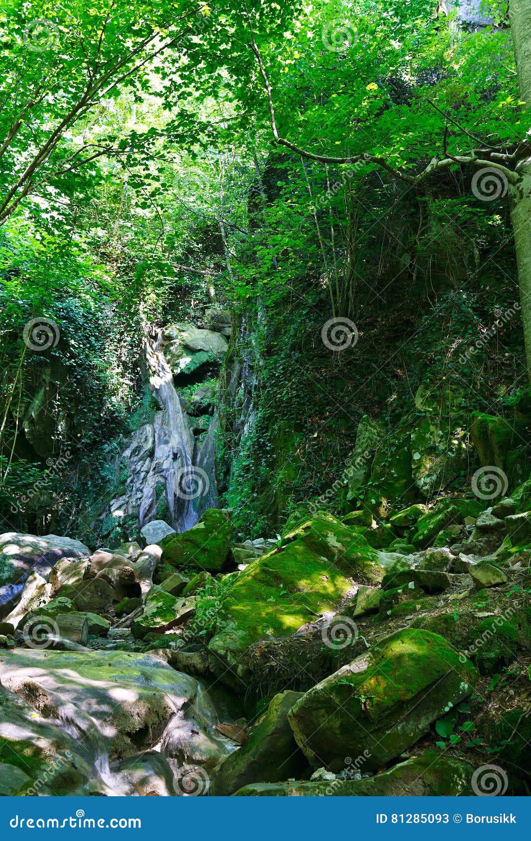 Beautiful Refreshing Waterfall in Fairy Forest among the Gorge Stock ...