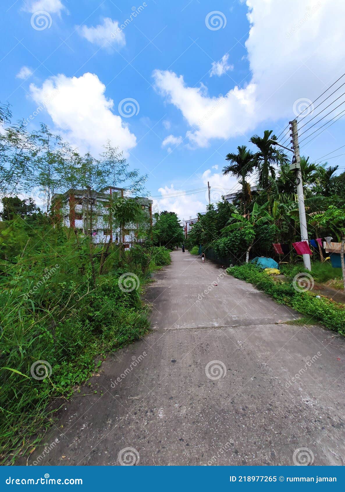 Beautiful Remote Town of Bangladesh Stock Image - Image of branch, town ...