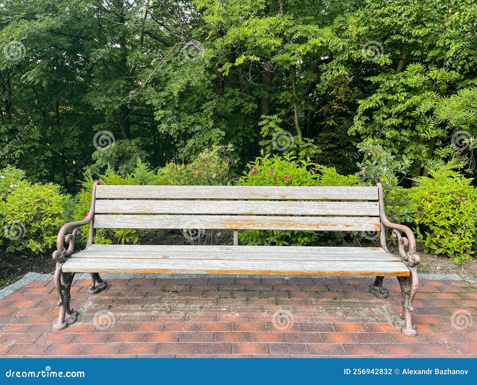 Beautiful Retro Bench in the Park Stock Photo - Image of plant, green ...