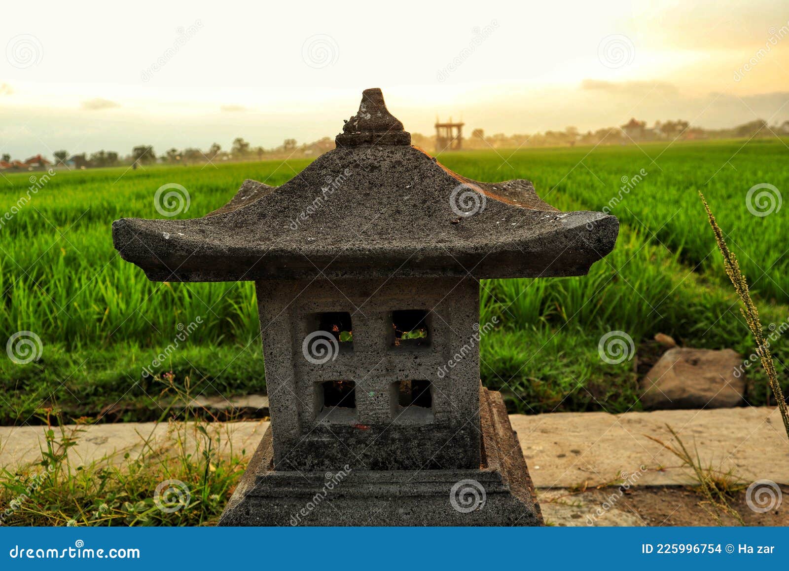 Beautiful Rice Fields in the Afternoon Stock Photo - Image of ruins ...