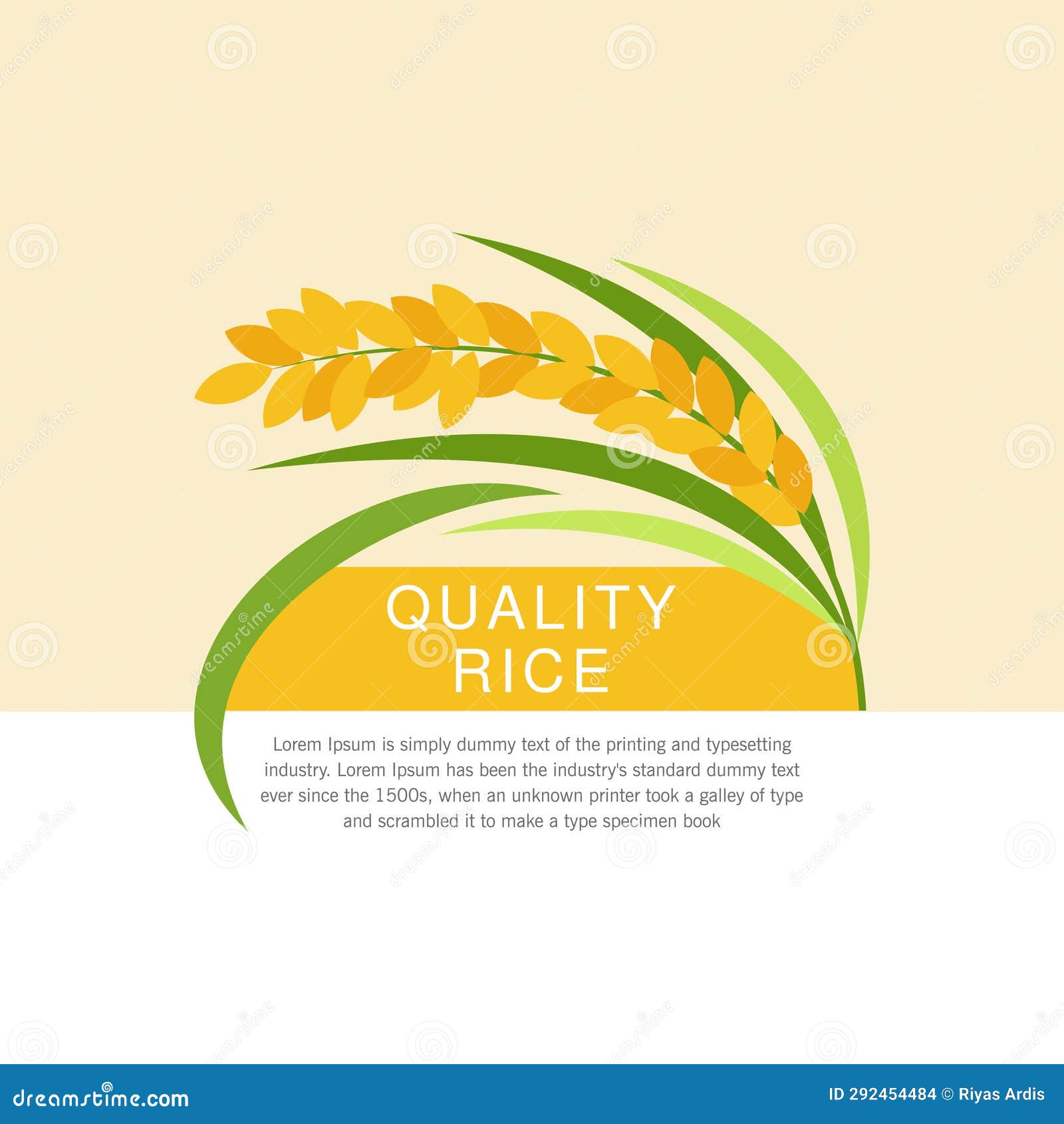 Beautiful Rice Paddy Vector Design Stock Illustration - Illustration of ...