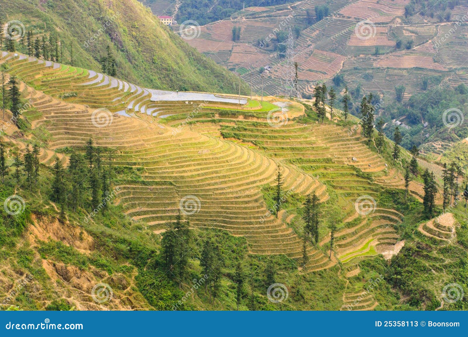 Beautiful rice terraces stock image. Image of asia, mountain - 25358113