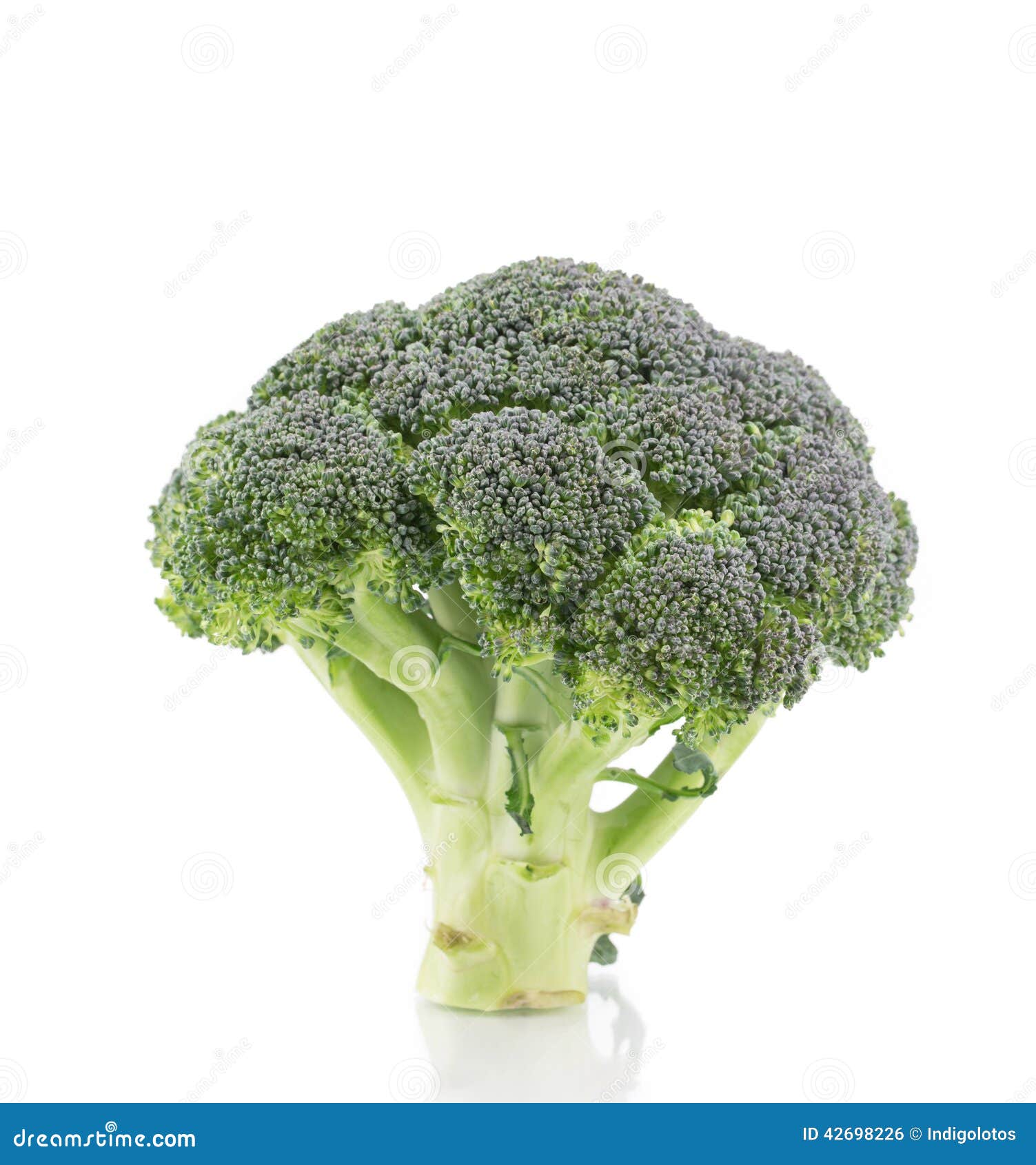 Beautiful ripe broccoli. stock photo. Image of nature - 42698226