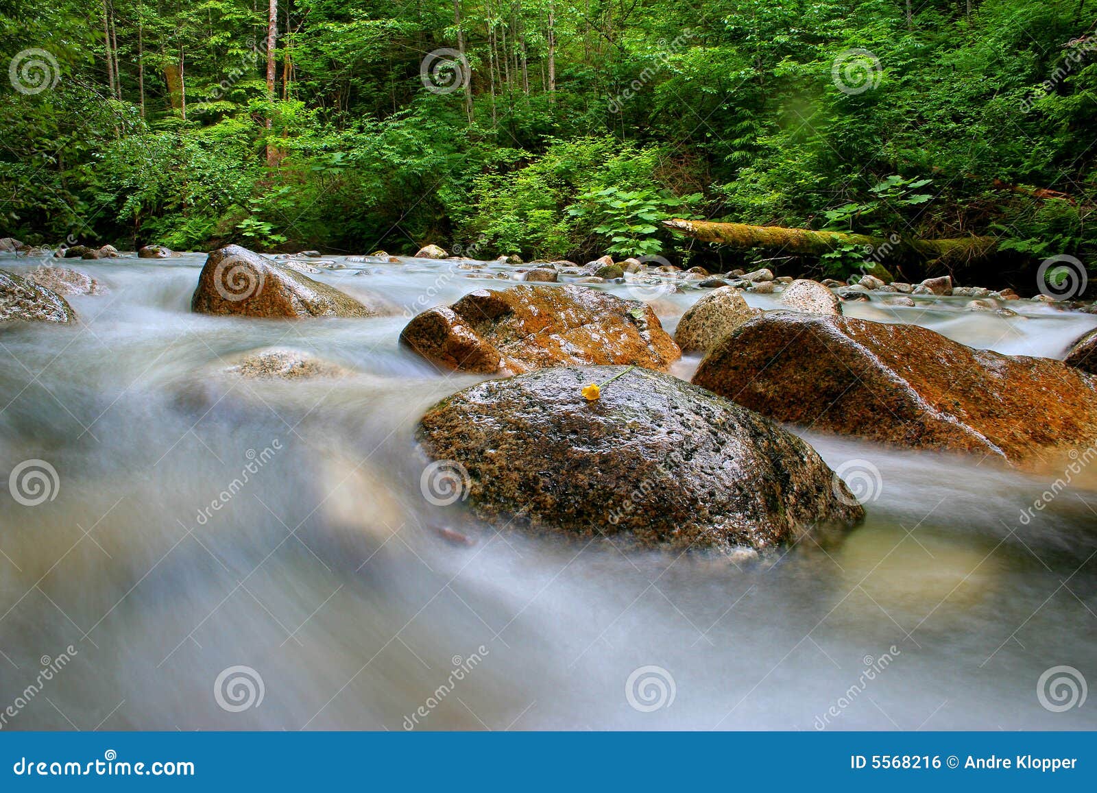 Beautiful river stock photo. Image of landscape, park - 5568216
