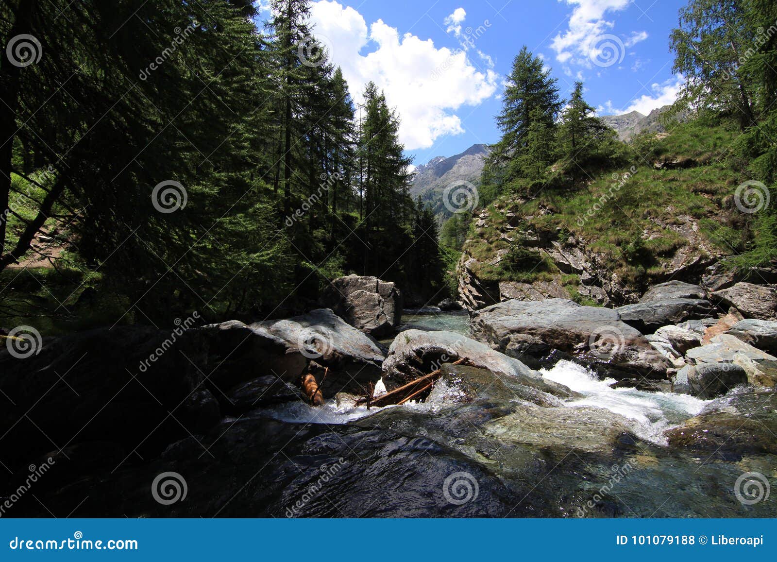 Alpine river stock photo. Image of beautiful, land, river - 101079188