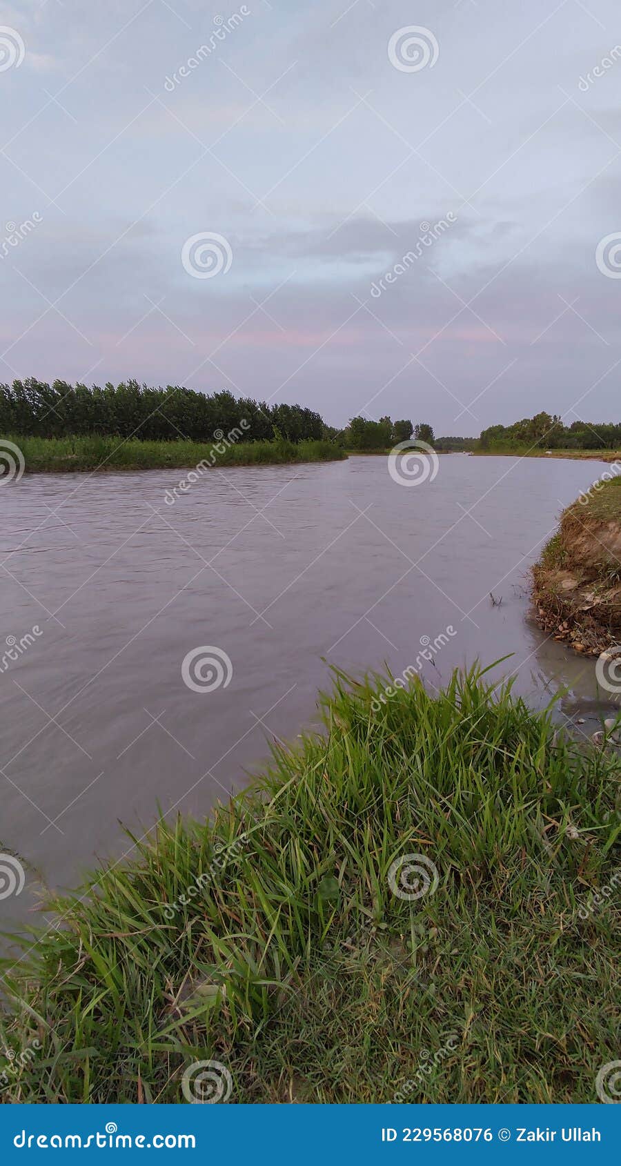 Beautiful River bank stock photo. Image of waterway - 229568076