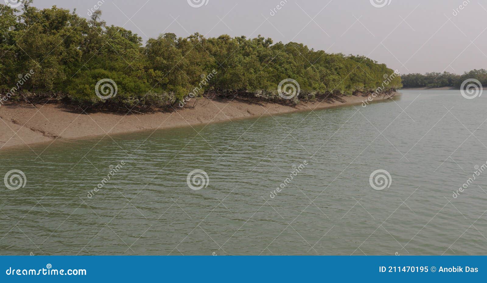 Beautiful River Bank at Sundarban Stock Image - Image of coastal, shore ...