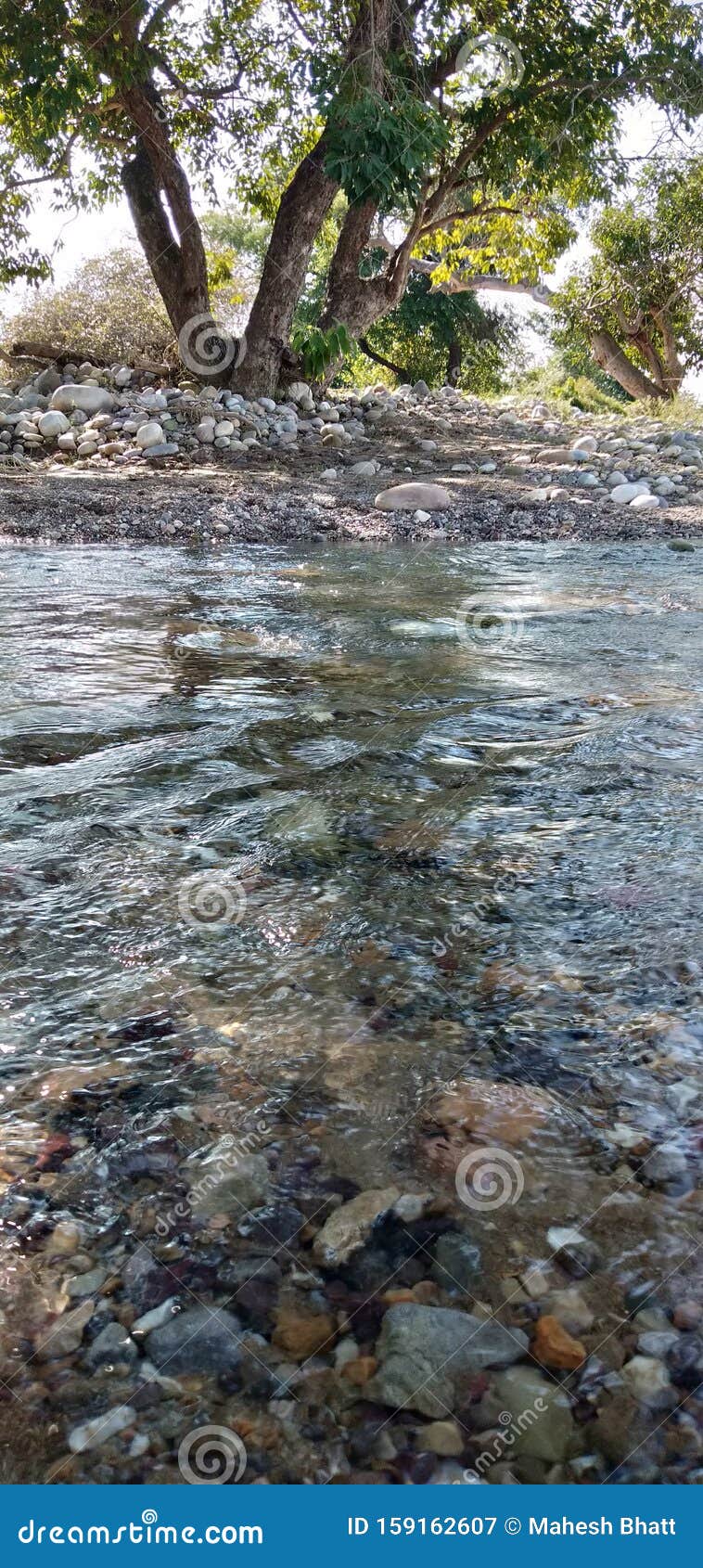 Beautiful River Bank View in Haridwar Uttrakhand India Stock Image ...