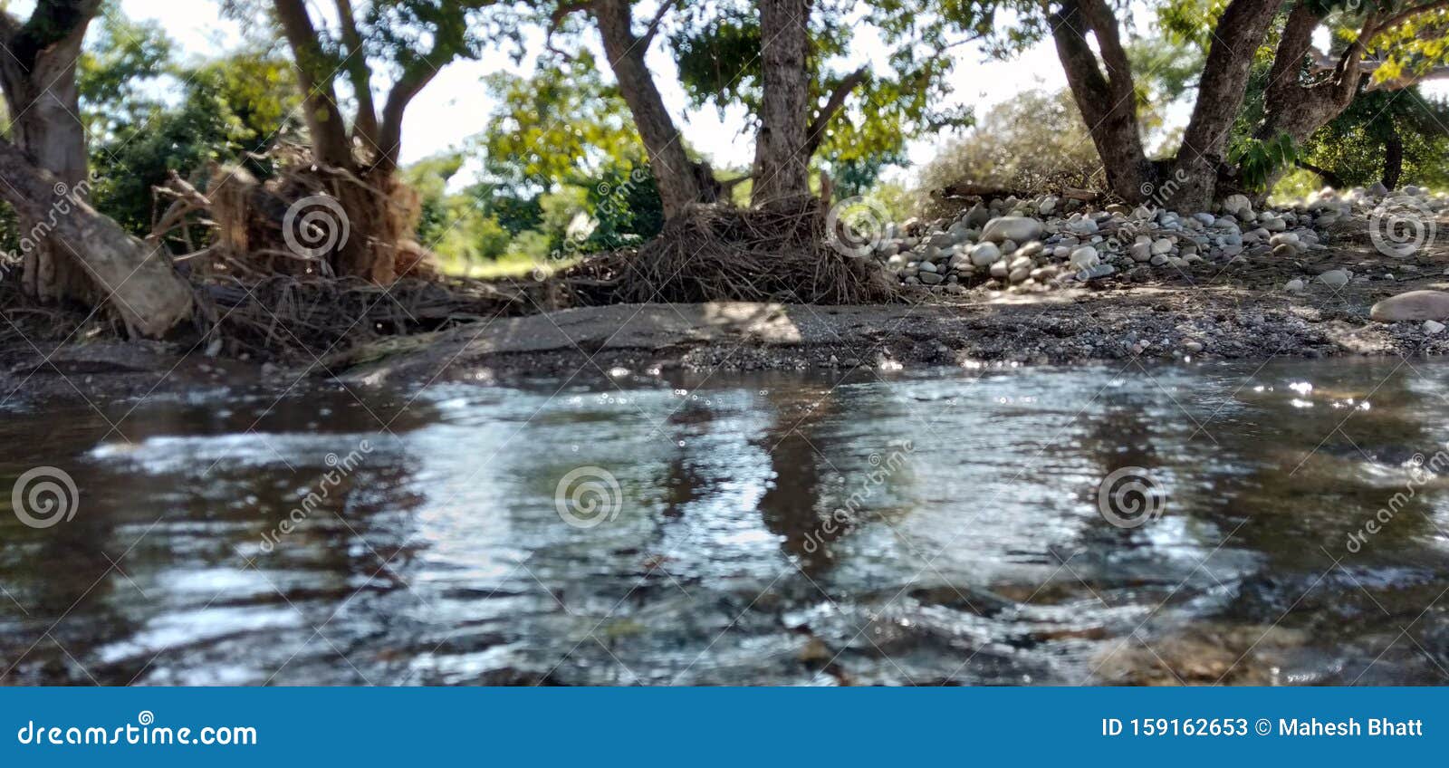 Beautiful River Bank View in Haridwar Uttrakhand India Stock Image ...