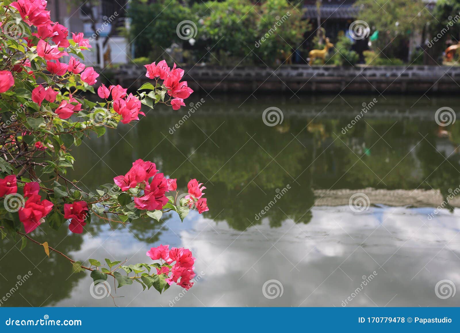 Beautiful River and Flowers Stock Photo - Image of calm, shine: 170779478