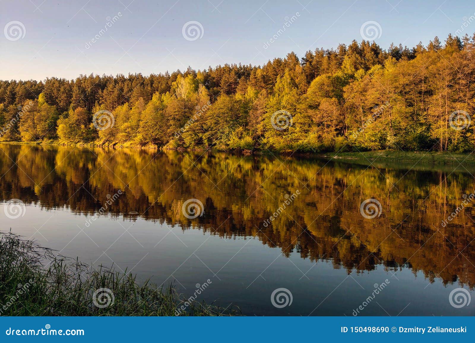 Beautiful River with a Forest, the Reflection of Trees in the Water ...