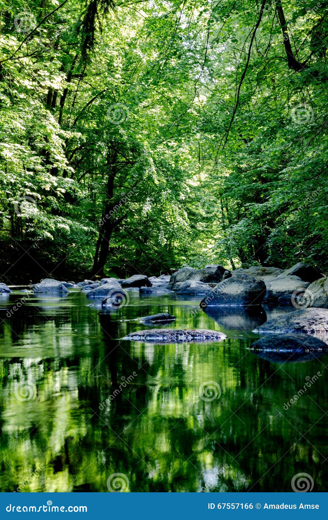 Beautiful River in the Forest Stock Photo - Image of river, mountain ...