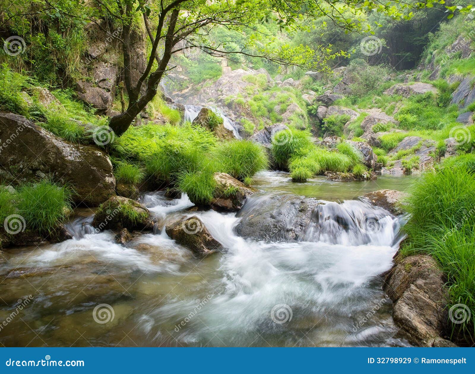 Beautiful river in Galicia stock image. Image of spain - 32798929