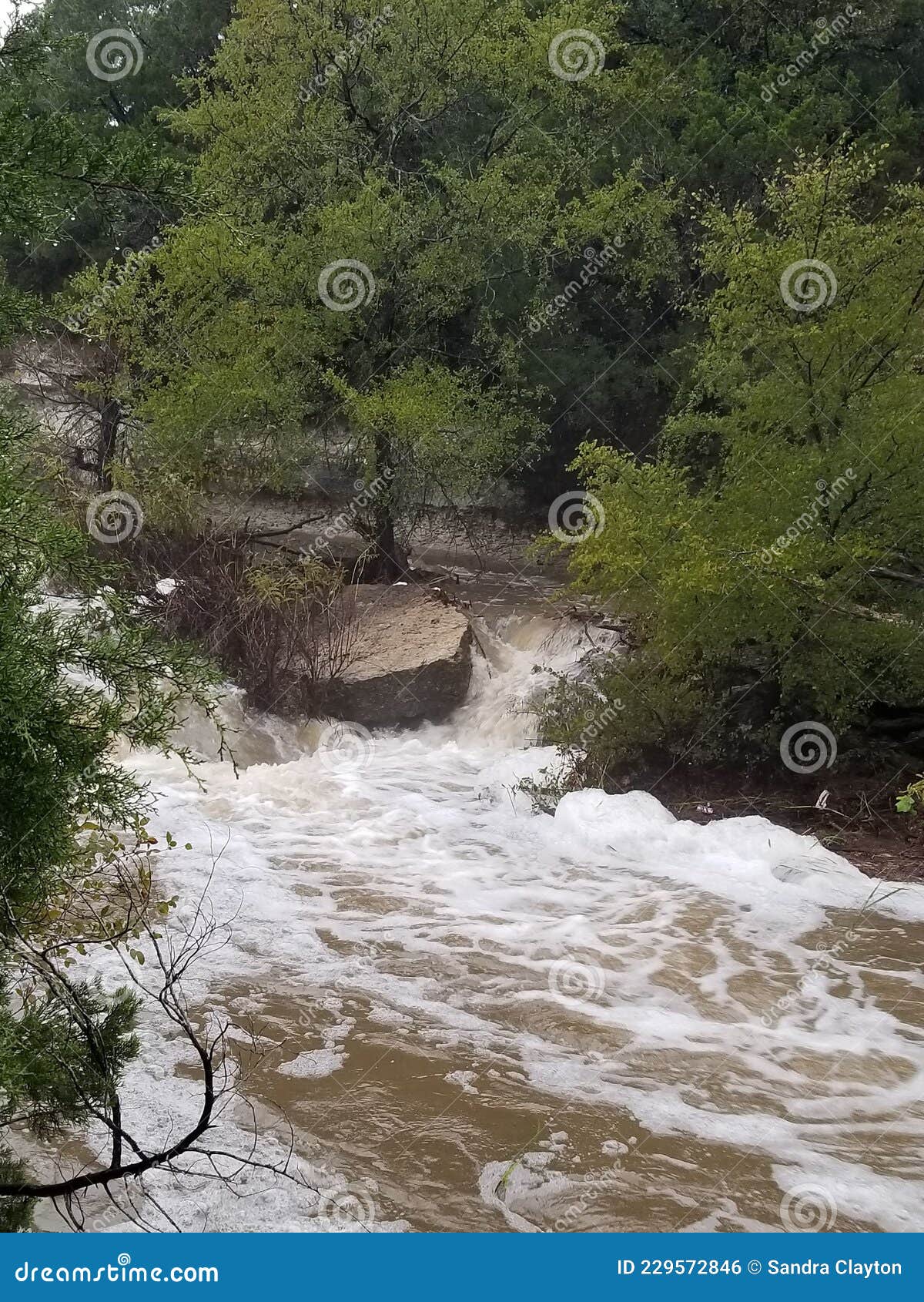 Beautiful River after a Heavy Rain Stock Photo - Image of rain, heavy ...
