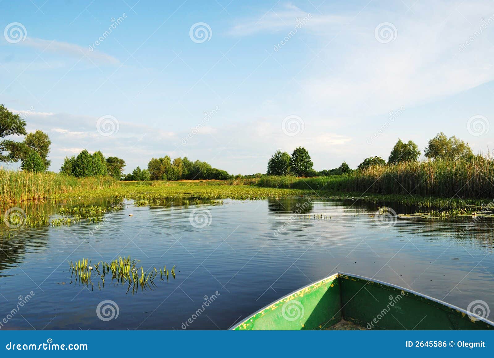 Beautiful river landscape stock photo. Image of life, wilderness - 2645586