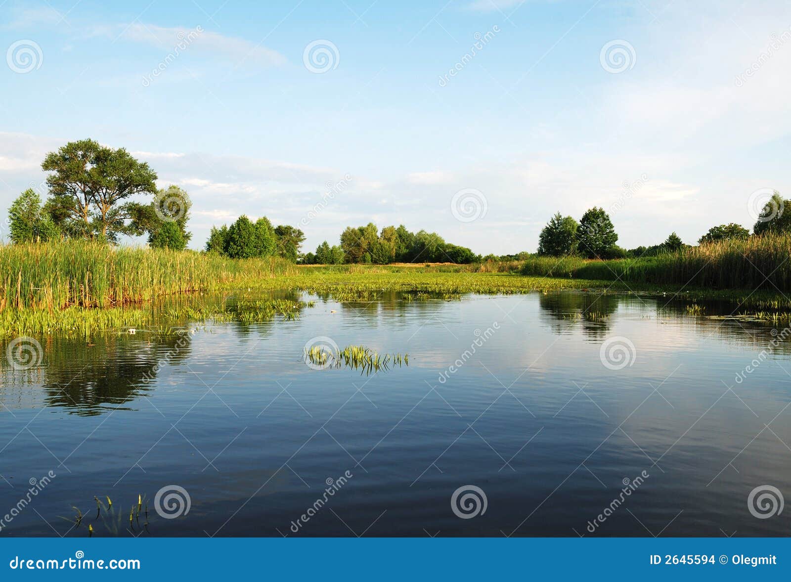 Beautiful river landscape stock photo. Image of tree, wilderness - 2645594