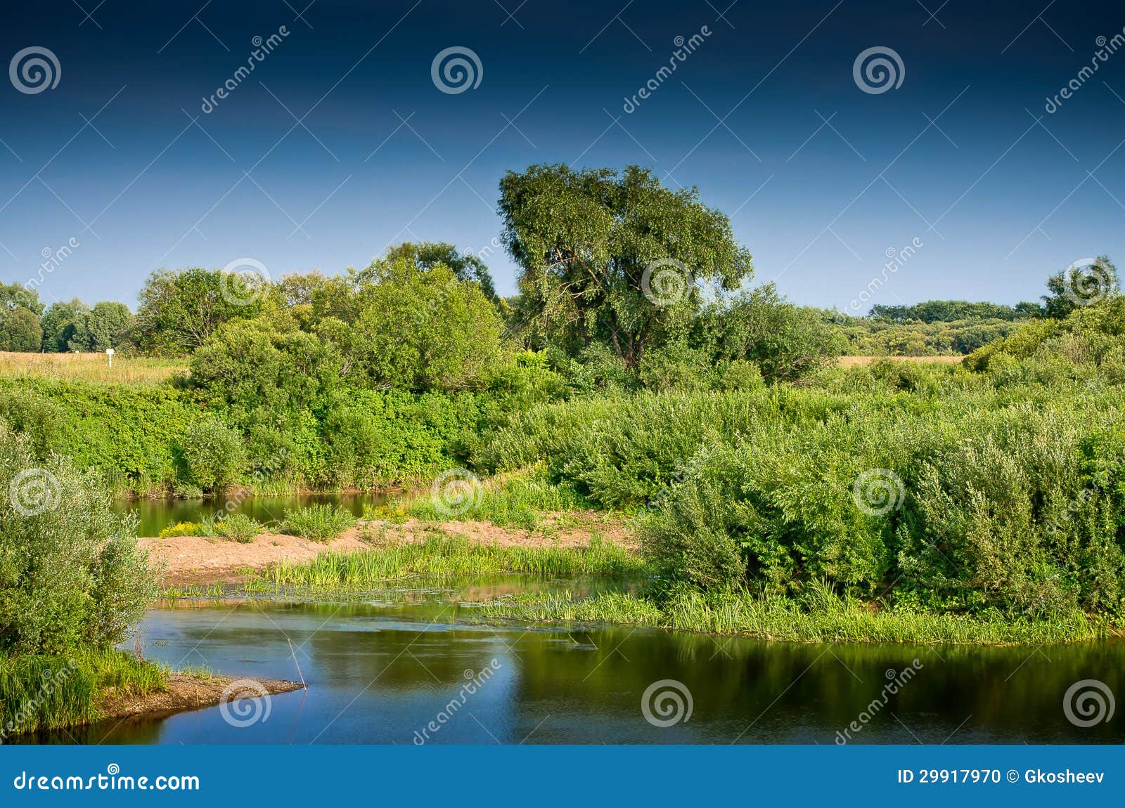 Landscape with River and Vegetation Stock Photo - Image of deep, beach ...