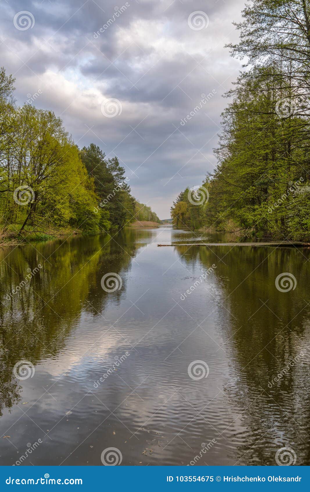 Beautiful River Landscape with Trees Stock Image - Image of park ...