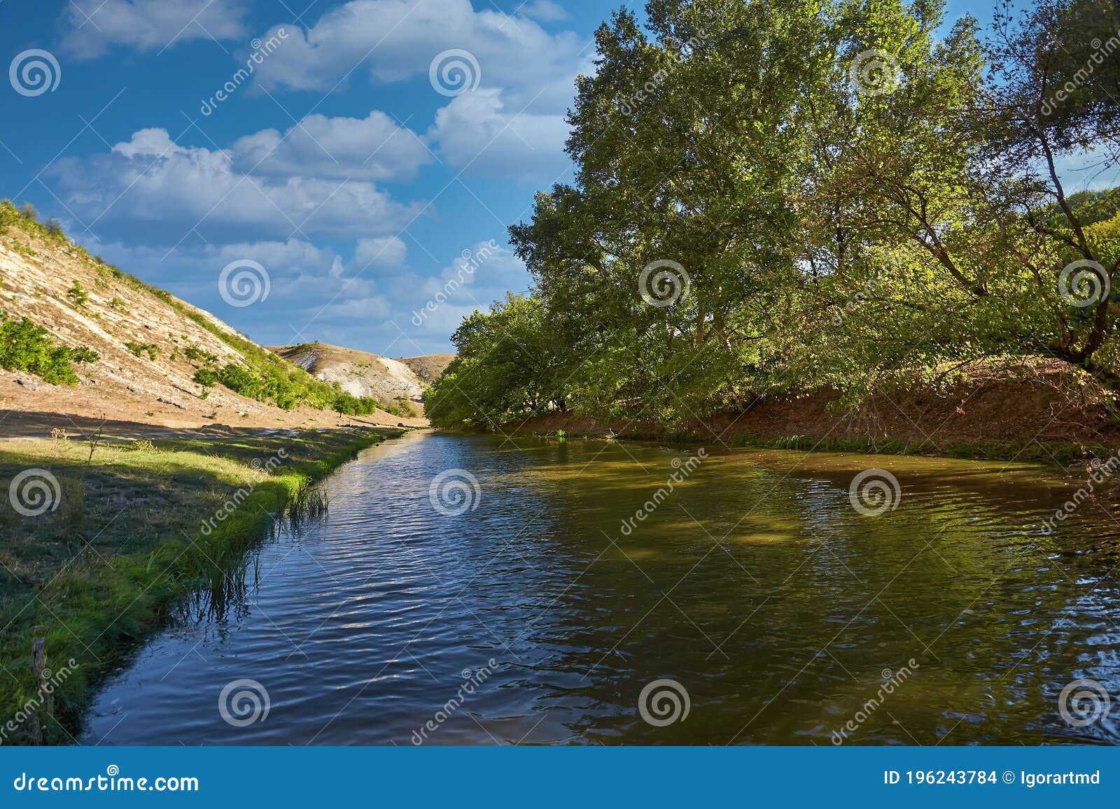 Beautiful River, a Lot of Greenery and Trees Stock Photo - Image of ...