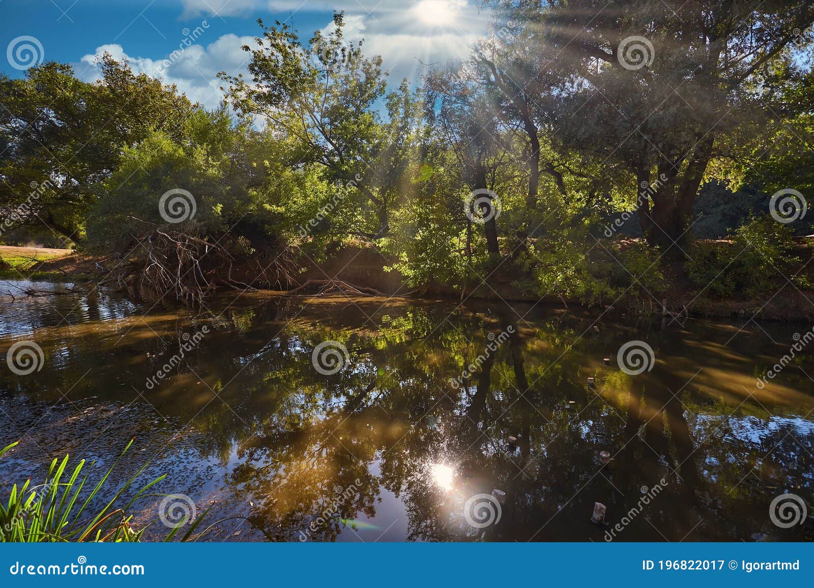 Beautiful River, a Lot of Greenery and Trees Stock Image - Image of ...